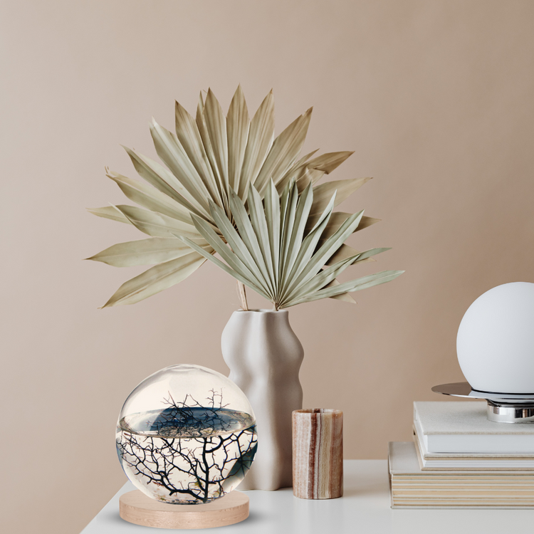 Plongez dans l'Harmonie Naturelle avec EcoSphere France